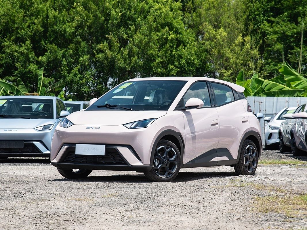 Mini Car Byd Seagull 2024 New BYD Electric Vehicle 305km 1.5L 101 HP L4 plug in hybrid 5 seats